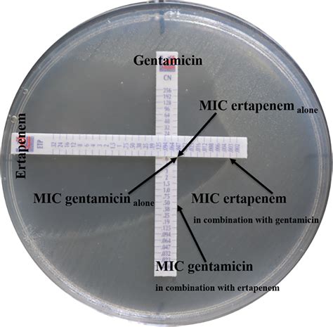 In Vitro Efficacy Of Gentamicin Alone And In Combination With Ceftriaxone Ertapenem And