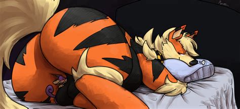 Rule 34 Anthro Arcanine Ass Balls Bed Bedroom Eyes Belly Big Belly