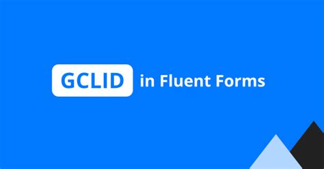 Capture Gclid In Fluent Forms Without Hidden Fields Appfromlab