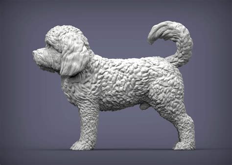 Cockerpoo 3d Print Model By Alexander3dart
