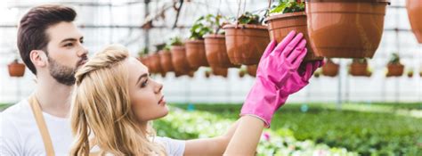 Фермерские Фермерские Теплицы Тепличный Комплекс