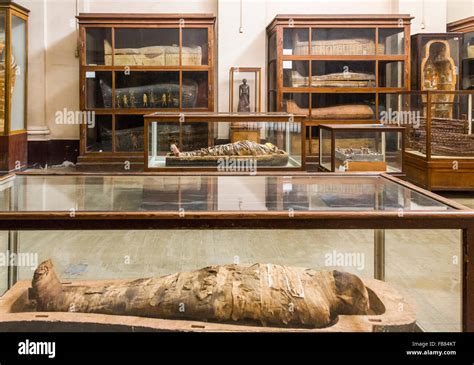 Egypt Mummy Museum