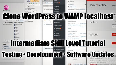 Backup Clone WordPress Website To WAMP Localhost Intermediate Guide YouTube