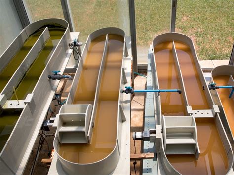 Bioprocessing Technologies Csir