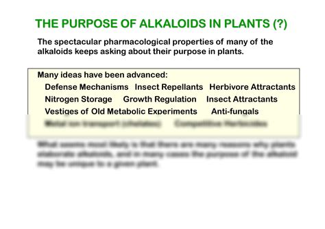 Solution 4 Purpose And Functions Of Alkaloids Studypool