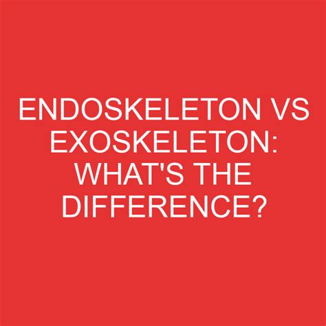 Endoskeleton Vs Exoskeleton Whats The Difference Differencess