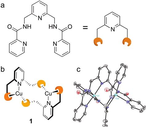 A Structure Of The New Polypyridinepolyamide Ligand L B Schematic
