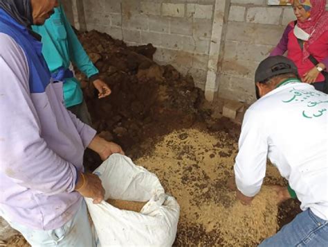 Manual Compost Processing Process Download Scientific Diagram