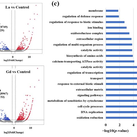 transcriptome high throughput sequencing analysis in liver tissues of