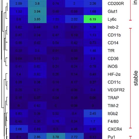 Qpcr Analysis Heat Map Showing Qpcr Analysis Results Of Selected Genes