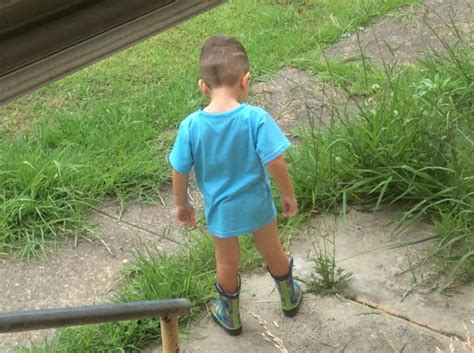 WIN Of Tree Fu Tom Toy And DVD Prize Packs Competition