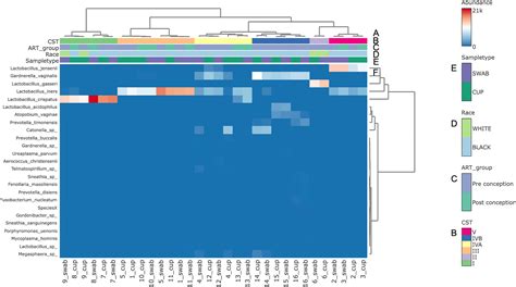 Frontiers Comparative Analysis Of Vaginal Microbiota Sampling Using Menstrual Cups And High