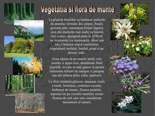 Vegetatie Si Fauna In Muntii Carpatia Romania Pdf