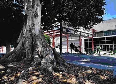 Landslide Every Tree Tells A Story Gallery Garden Design