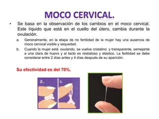 Planificacion Familiarpptx