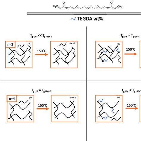 Schematic Representation Of The Crosslinked Network Structures As A Download Scientific Diagram