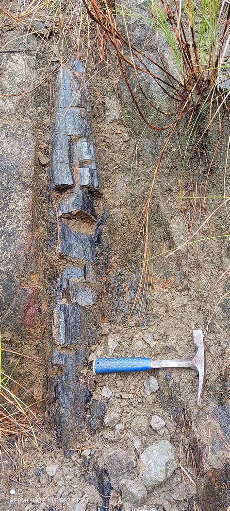 Scintillating Beauty 𝐂𝐀𝐑𝐁𝐎𝐍𝐈𝐒𝐄𝐃 𝐖𝐎𝐎𝐃 𝐀 𝐊𝐞𝐲 𝐭𝐨 𝐭𝐡𝐞 𝐏𝐚𝐬𝐭 😍⚒️ 𝐏𝐚𝐬𝐢𝐠𝐡𝐚𝐭 𝐑𝐚𝐧𝐚𝐠𝐡𝐚𝐭 𝐁𝐨𝐝𝐚𝐤 𝐒𝐞𝐜𝐭𝐢𝐨𝐧