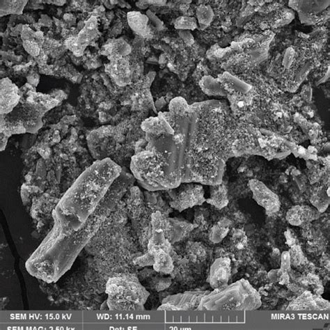Sem Images Curcumin Nanoparticles A Temporary Restoration Without