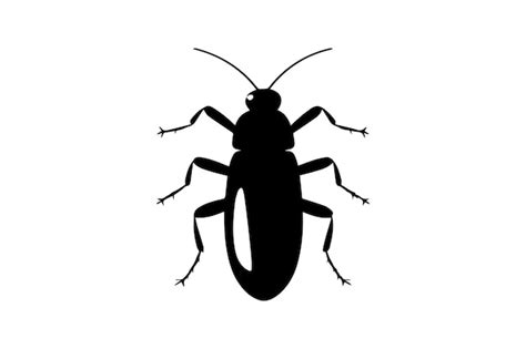 Premium Vector American Cockroach Icon