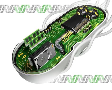Synthetic Biology Circuits Perform Logic Functions And Remember The Results