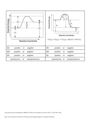 Copy Of Free Energy Endergonic Vs Exergonic Worksheet Pdf