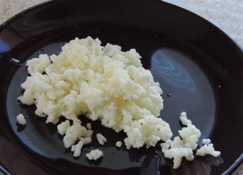 Унікальна користь молочного або тибетського гриба для здоровя людини Жіночий Світ