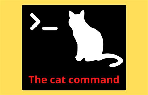 Linux Commands Archives Exam Simulations