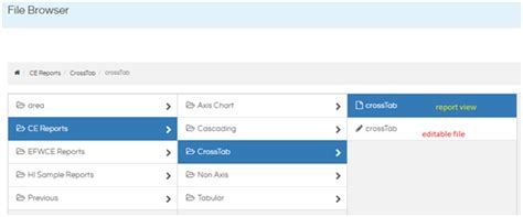 Creating Cross Tabular Report With Single And Multi Select Parameters