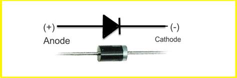 What Is A Rectifier Diode Everything PE