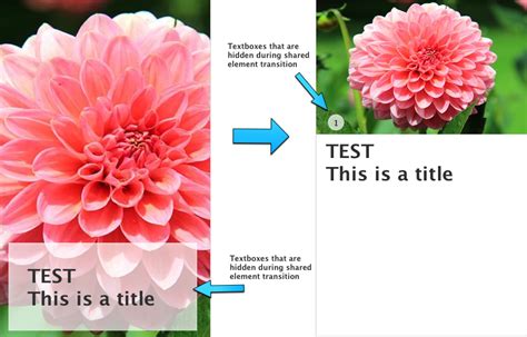 Android Shared Element Transition Foregroundbackground Issue