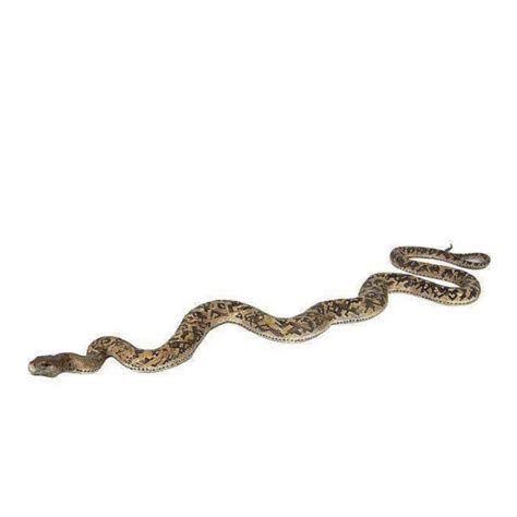 Figure Python ICatching Everything For Events