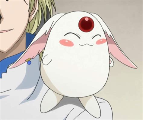 Mokona Kobato Wiki Fandom
