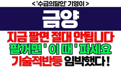 금양 주가전망 지금 팔면 절대 안됩니다 팔꺼면 이 때 파세요 기술적반등 임박했다 Feat 수급의달인 기영이 박순혁 서정덕tv 김작가 Tv 이엔플러스