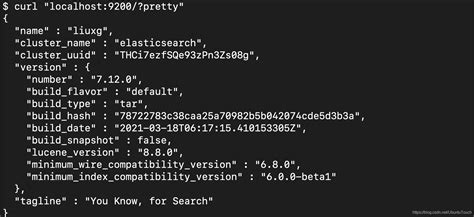 Elasticsearch：免费和开放的 Elastic 可观测性入门 Tgcode
