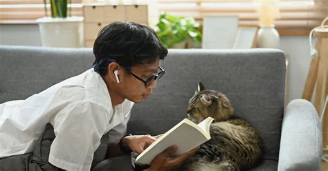 캐주얼한 남자는 사랑스러운 고양이와 함께 소파에 누워 책을 읽고 있다 사진 Unsplash의 이어폰 이미지