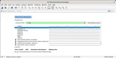 Detecting Who Pings My Computer Baeldung On Linux