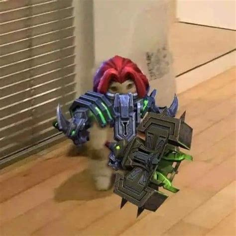 Pin On профиль Anime Cat Cat Icon Mobile Legends