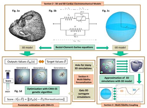 3d And 0d Cardiac Models 1 A 1 B And 1 C Our Multifidelity Download Scientific Diagram