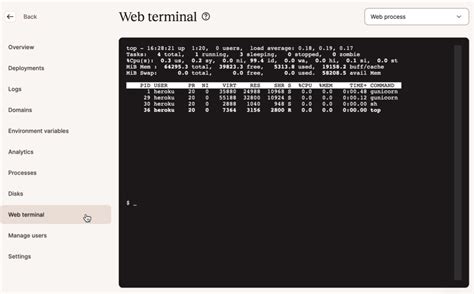 Improved Web Terminal Gets You A Command Line Quicker Kinsta®