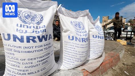 Coalition Calls For Unrwa Funding To Be Diverted To Other Aid Groups