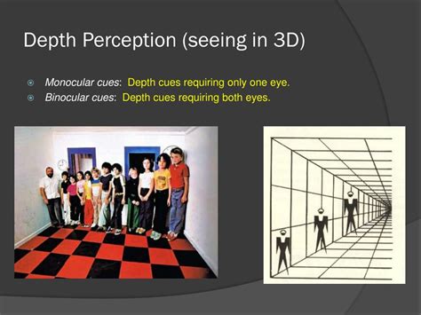 Ppt Sensation And Perception Powerpoint Presentation Free Download