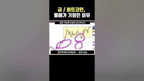 금 비트코인 올해가 기회인 이유 Youtube