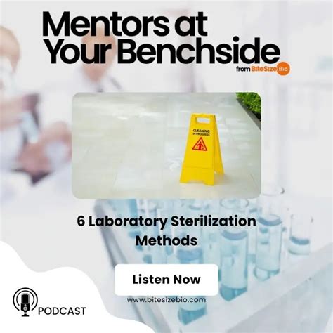 Mentors At Your Benchside 6 Laboratory Sterilization Methods And How