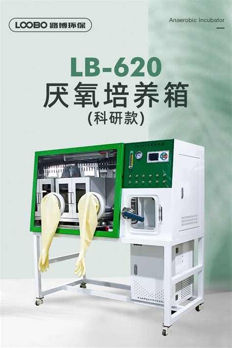 源头厂家厌氧培养箱实验室厌氧微生物细菌培养箱实验室厌氧手套箱 阿里巴巴