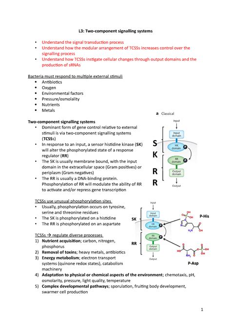 Two Component Siganllin Systems L3 Two Component Signalling Systems Understand The Signal