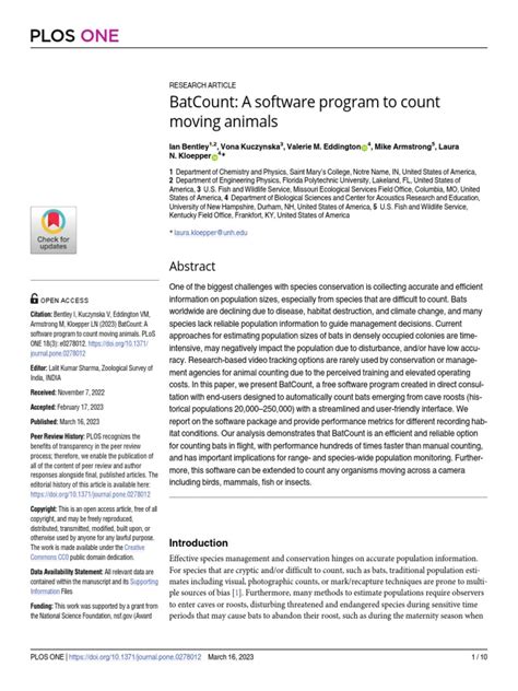 Bat Count Pdf Video Matlab