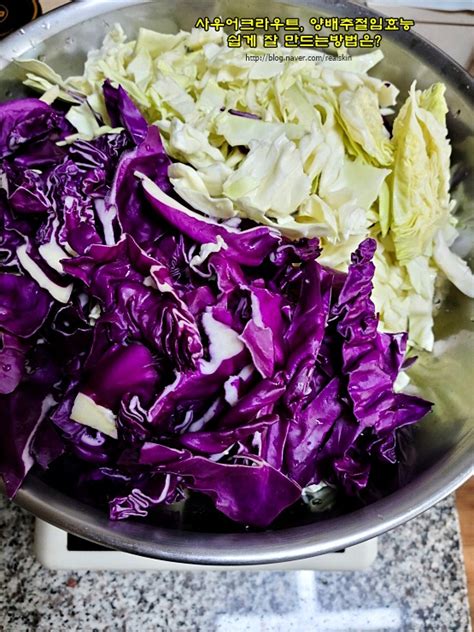 사우어크라우트 양배추절임 효능 만드는방법