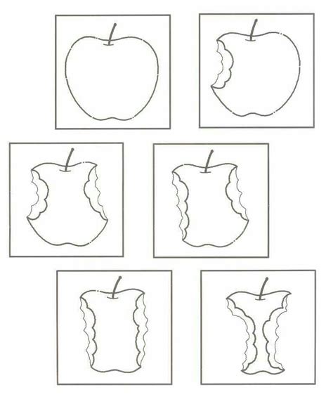 Pin De Katleen Thienpont En Fruit Secuencias Temporales Actividades