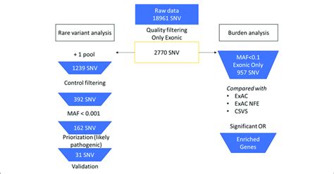 flowchart of the bioinformatic analysis on the left branch rare