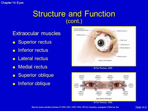 pupil function lokination